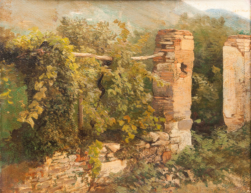 Valentin Ruths - Weingarten in Oberitalien