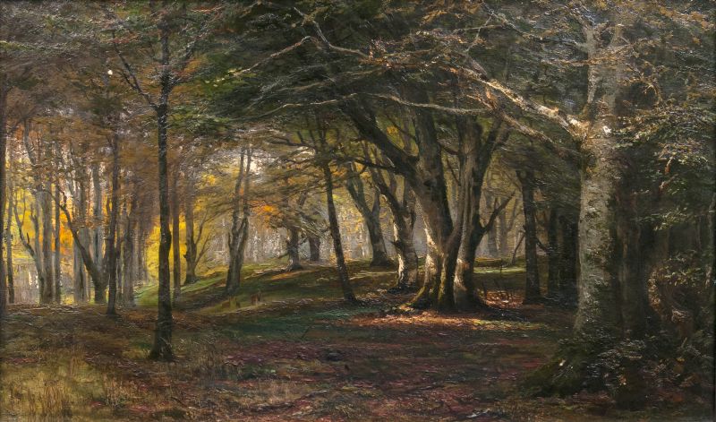 Hinrich Wrage - Im Buchenwald